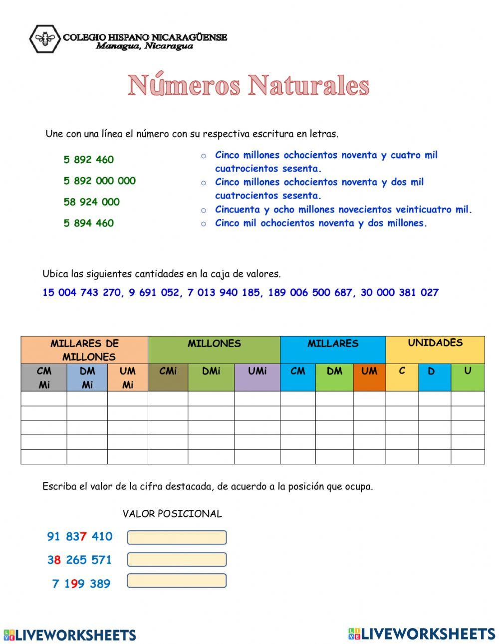 Lectura y escritura de números naturales 2542163 | Einar