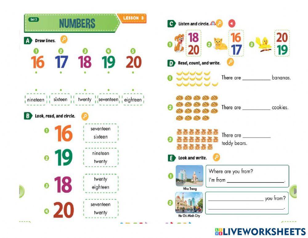 G2-unit 4 animal lesson 1 worksheet | Live Worksheets