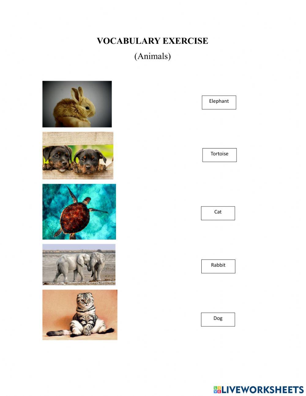 Vocabulary Exercise interactive activity for 2 semestre | Live Worksheets