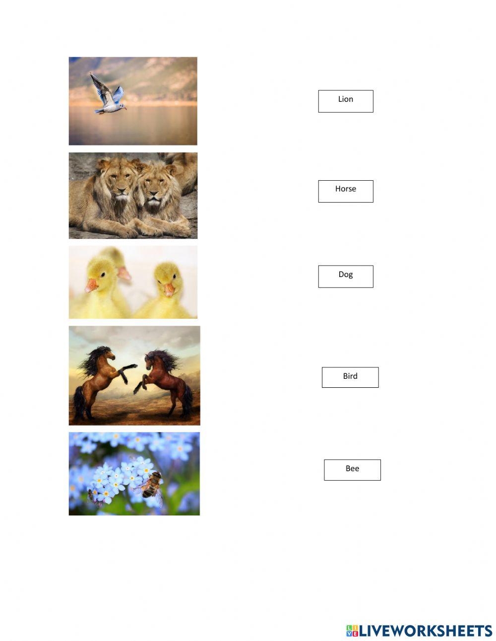 Vocabulary Exercise interactive activity for 2 semestre | Live Worksheets