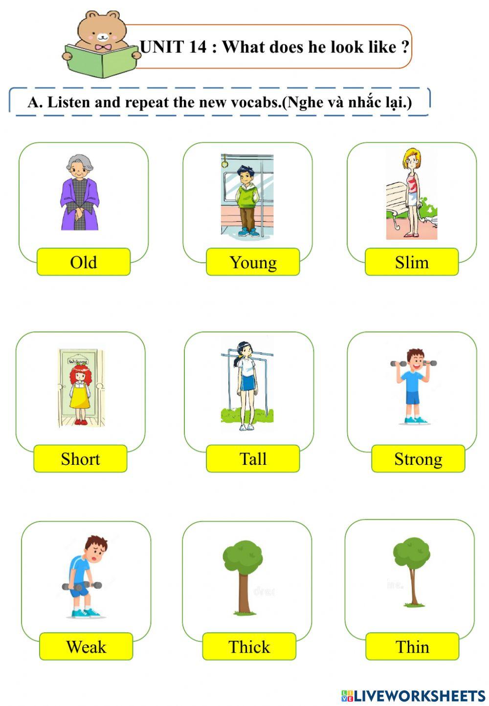 G4 - Unit 14 worksheet | Live Worksheets