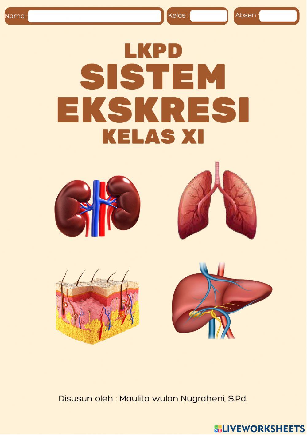 LKPD SISTEM EKSKRESI KELAS XI | LiveWorksheets | 2543409