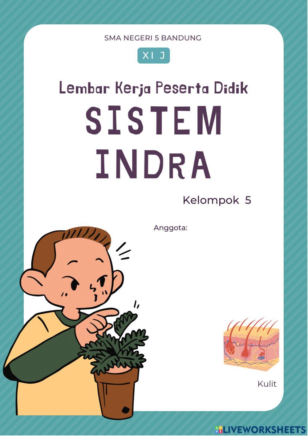 LKPD Sistem Indra Kelompok 5 worksheet | Live Worksheets