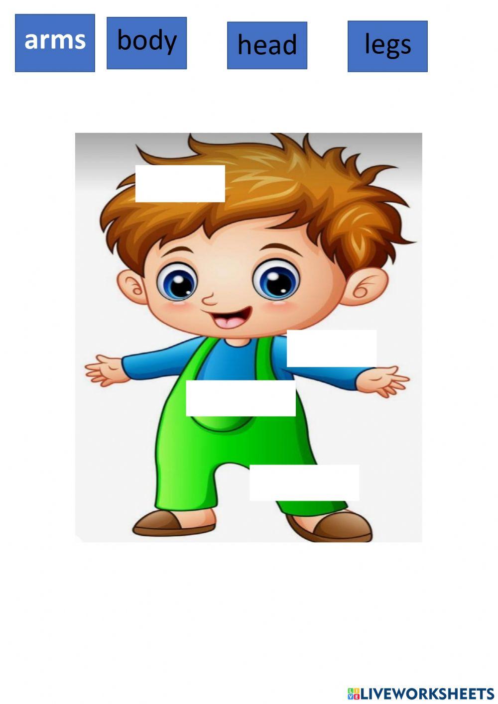 body1 online exercise for | Live Worksheets