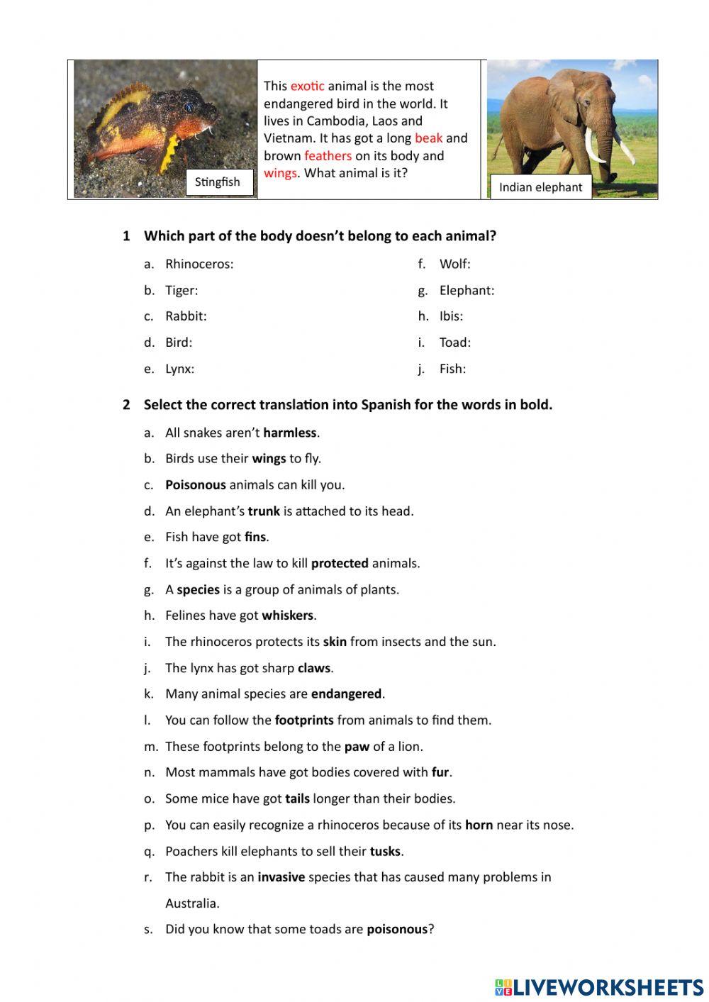 Guess the animal free online worksheet | Live Worksheets