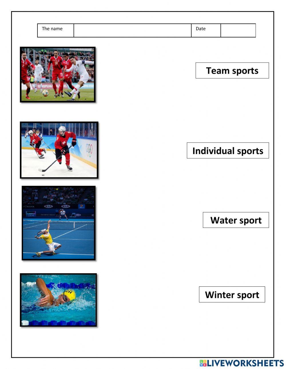 types of sports online exercise for | Live Worksheets