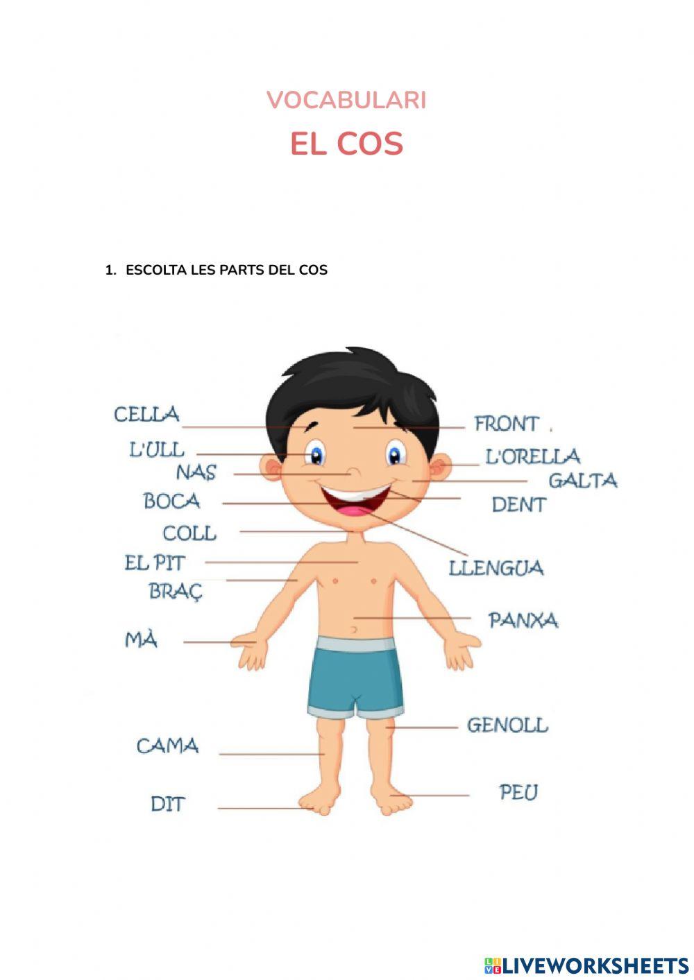 2303266 | Les parts del cos | sandradalmau12