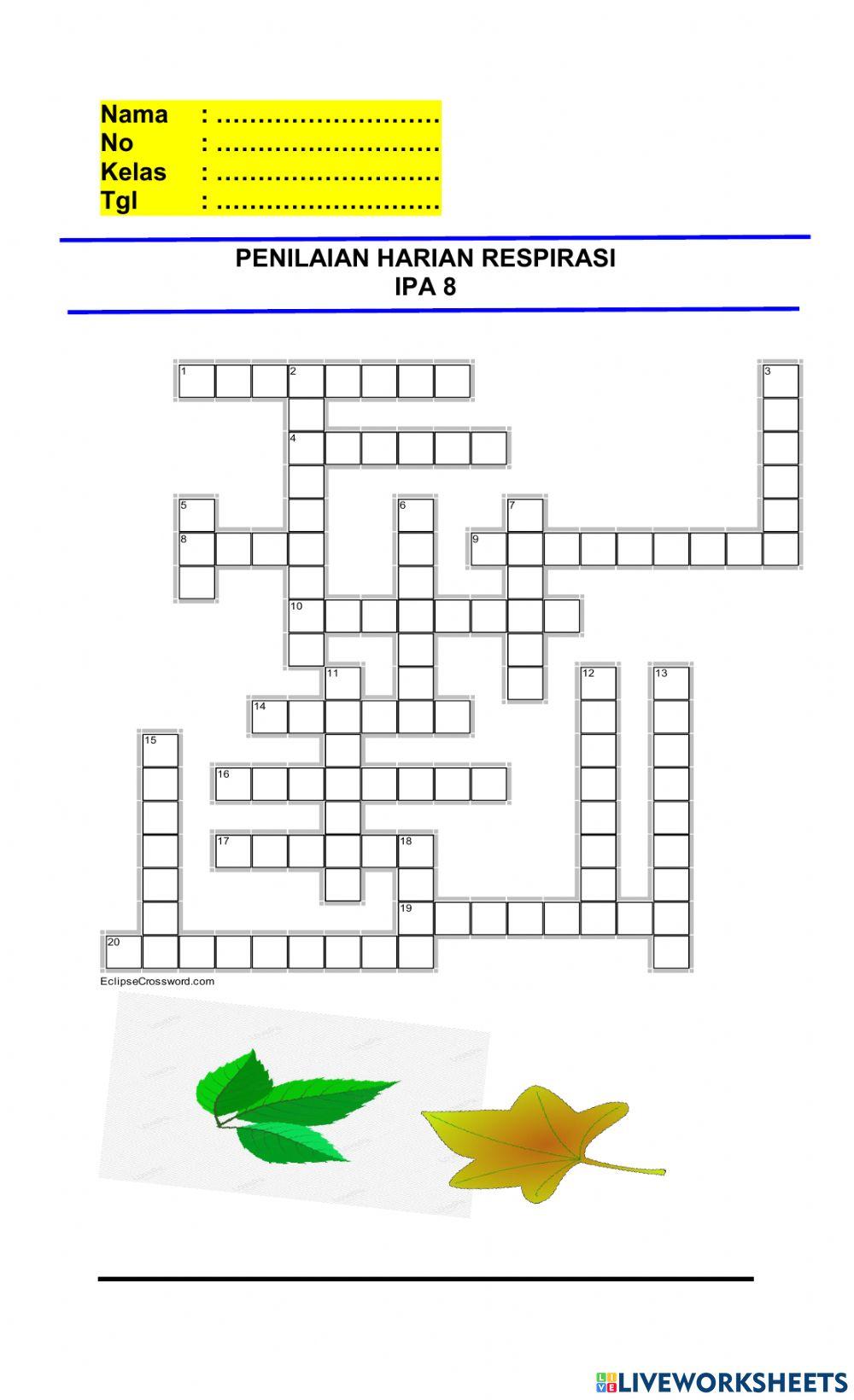 Tts respirasi ipa 8a live worksheet worksheet | Live Worksheets