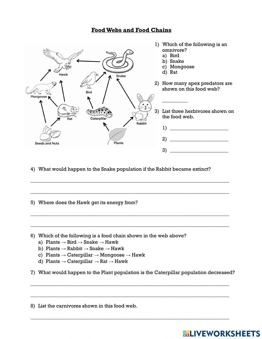 Food Webs And Food Chains Worksheet Worksheet Live Worksheets food-webs-and-food-chains-worksheet-worksheet-live-worksheets