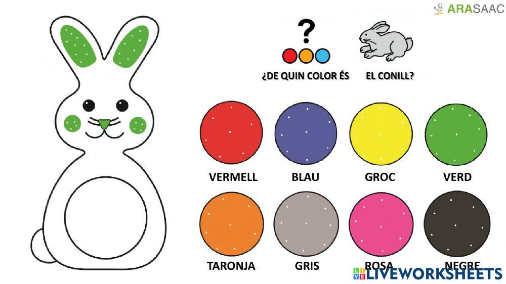 els colors 2305054 | jblanc11 | Live Worksheets