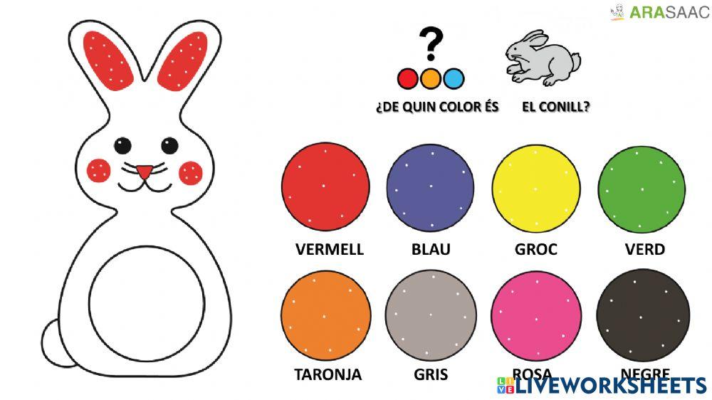 els colors 2305054 | jblanc11 | Live Worksheets