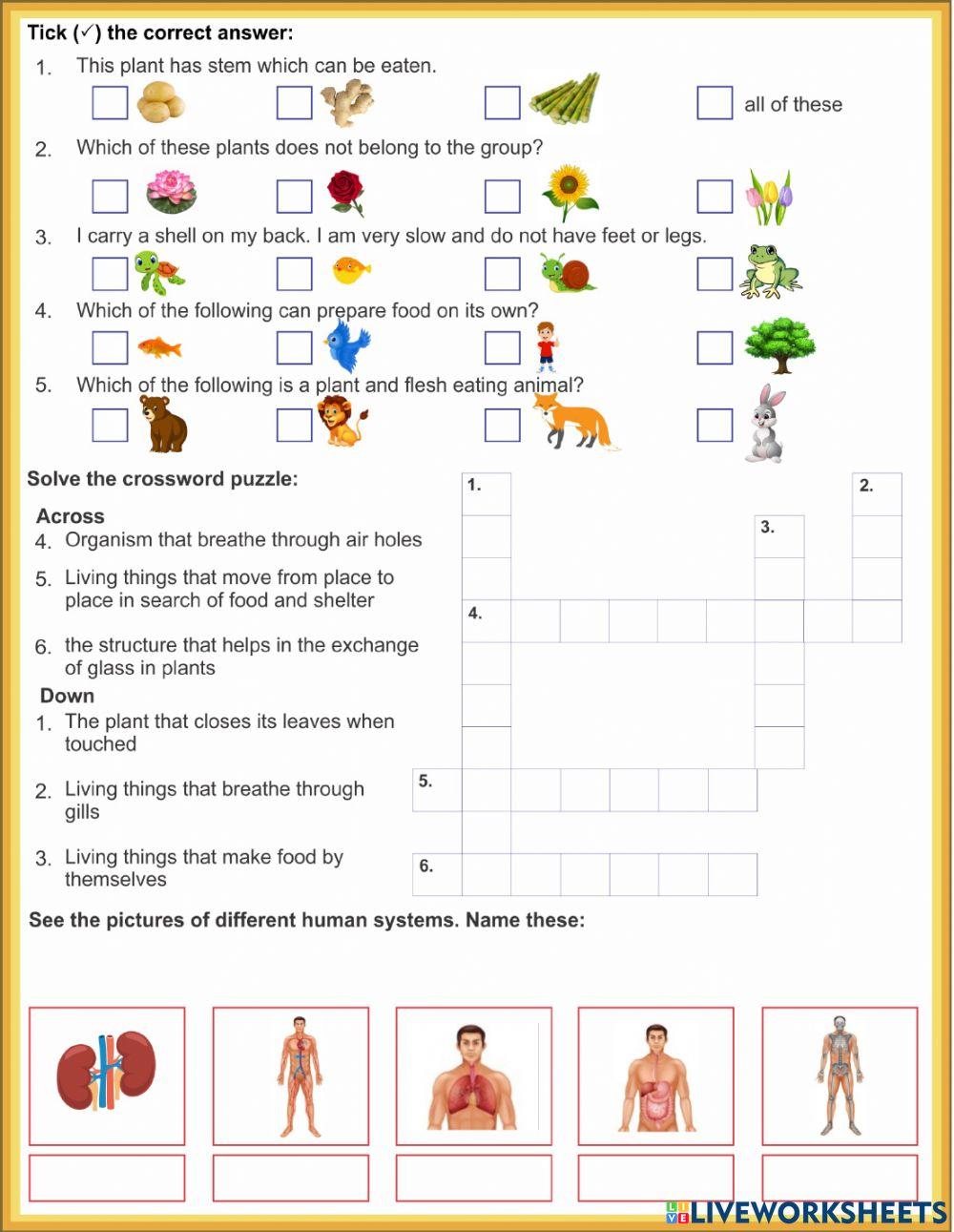 Science 4th Class 2552076 QUESTOLYMPIAD science-4th-class-2552076-questolympiad