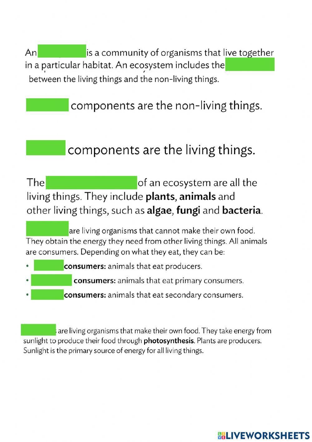 UNIT 3 TEST SCIENCE 5º GRADE worksheet | Live Worksheets