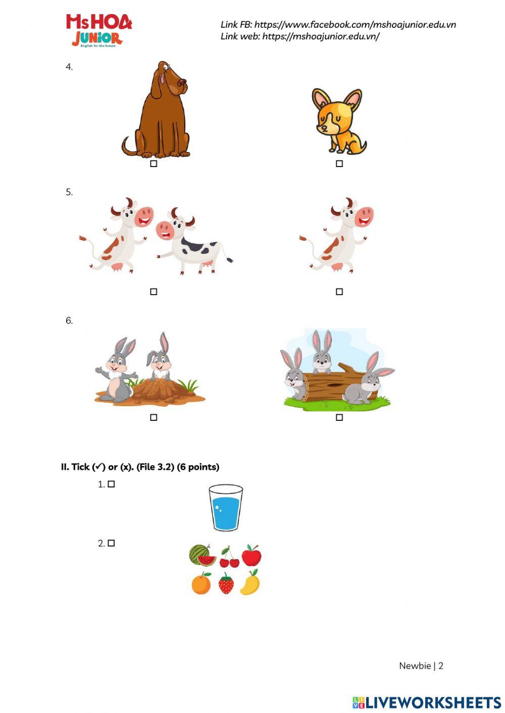 Newbie exam 3 worksheet | Live Worksheets