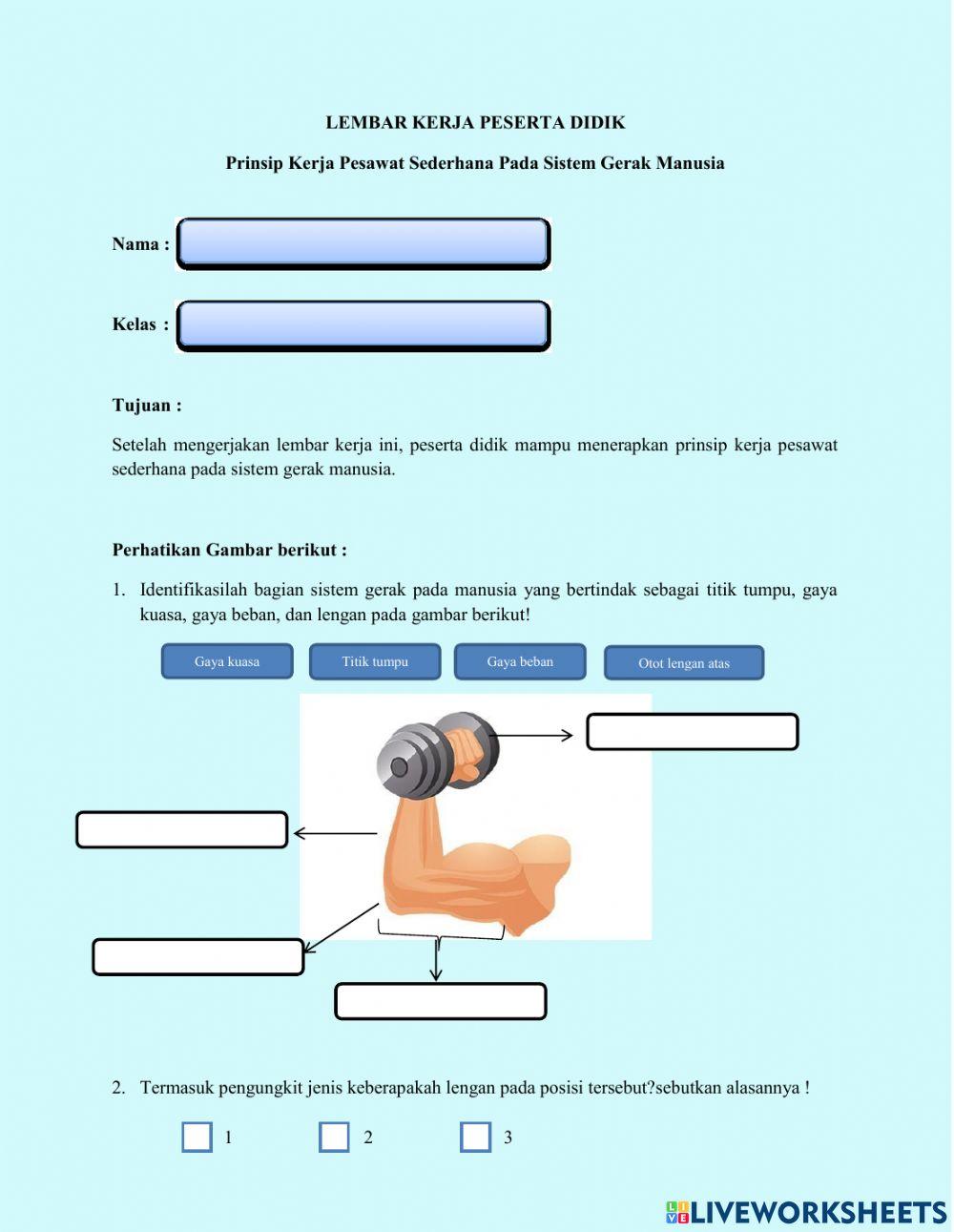 Tuas pengungkit worksheet | Live Worksheets