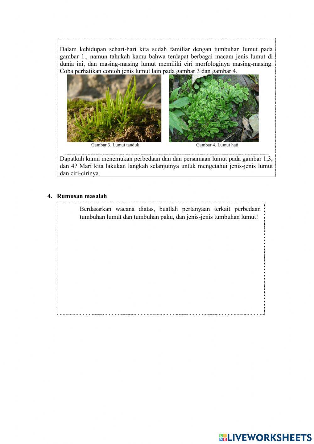 Tumbuhan kormofita dan talofita 2284139 | Aulia Hermaa