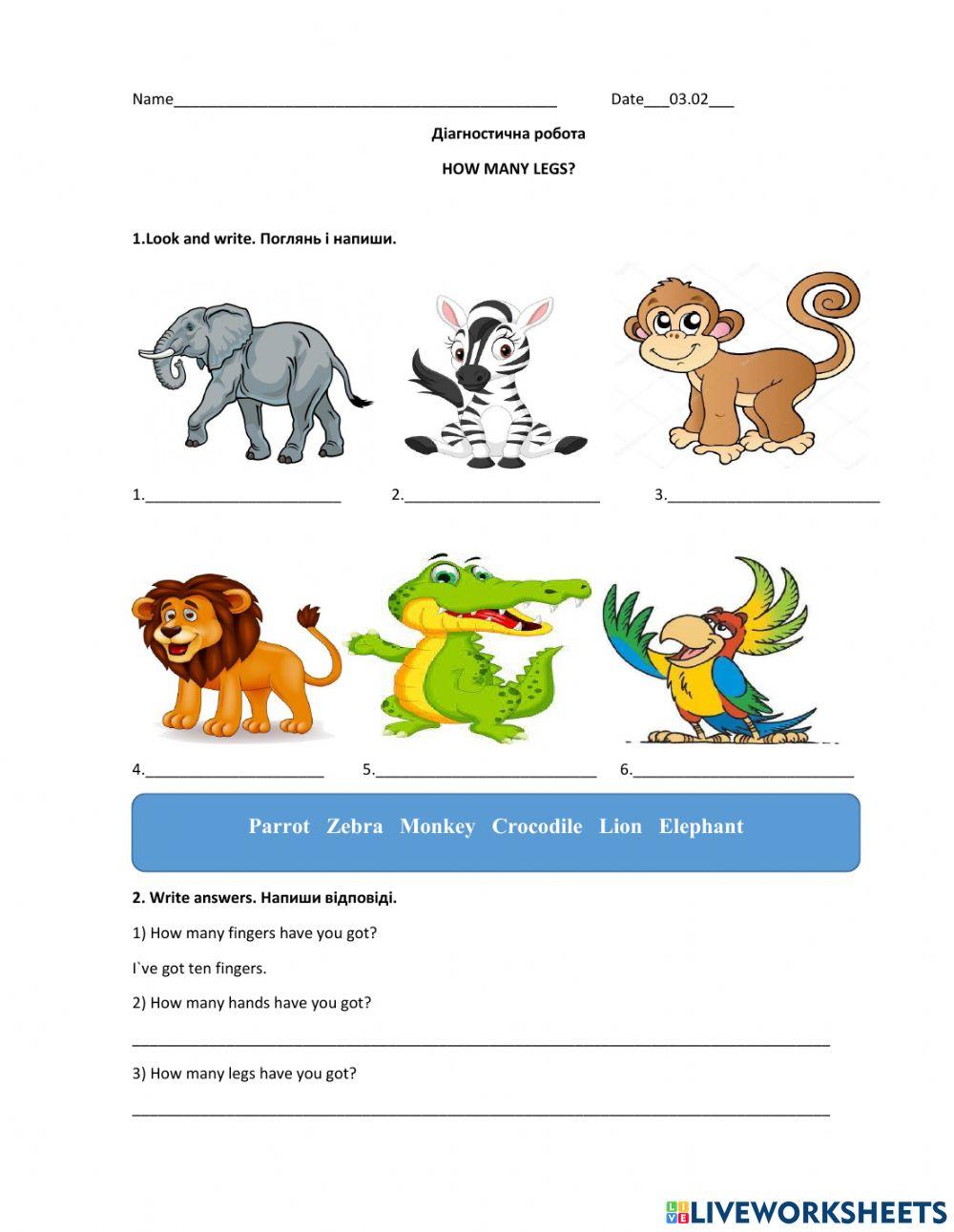 2284350 | How many legs legs? | IrinaVitaliivna