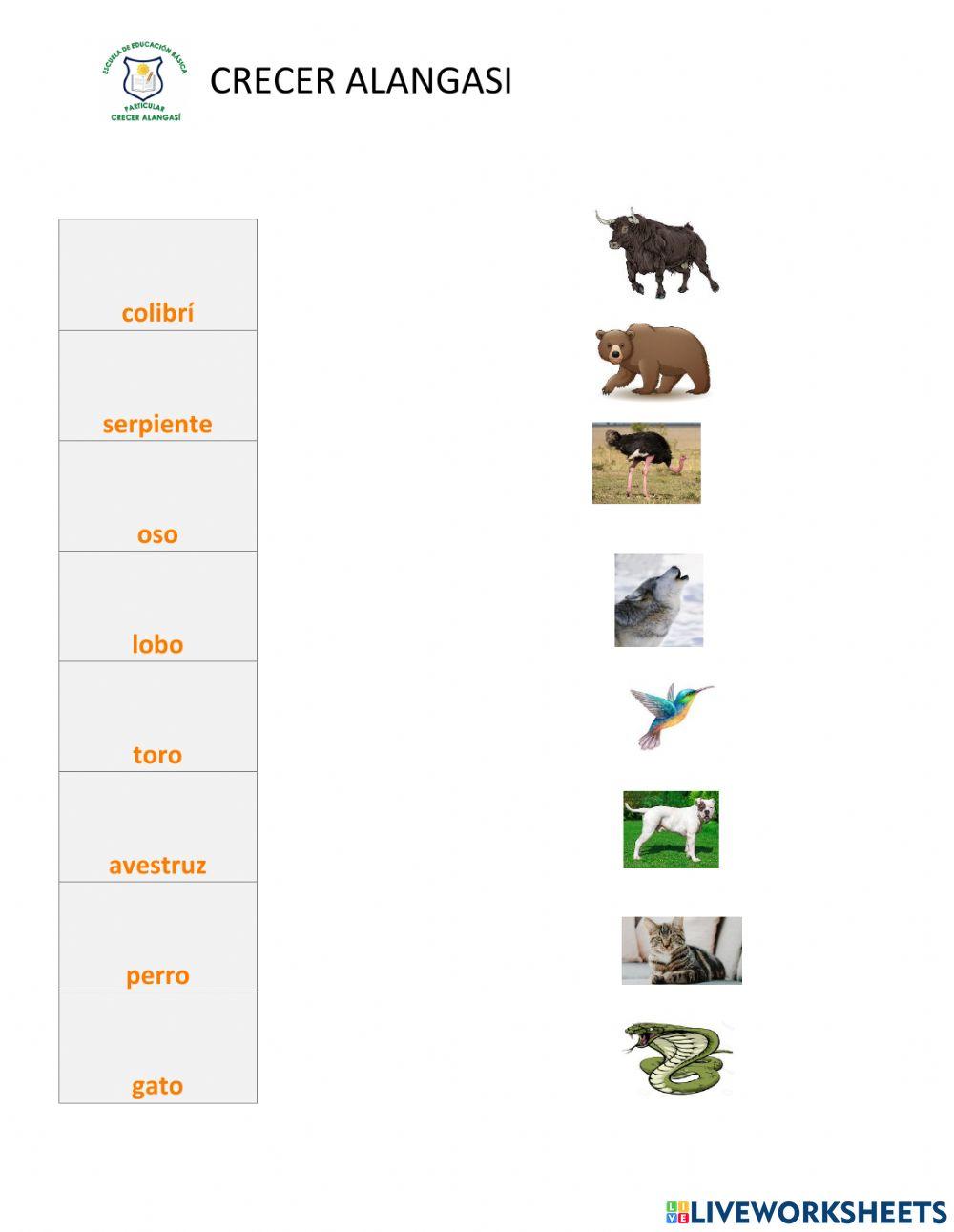 Juan exercise | Live Worksheets