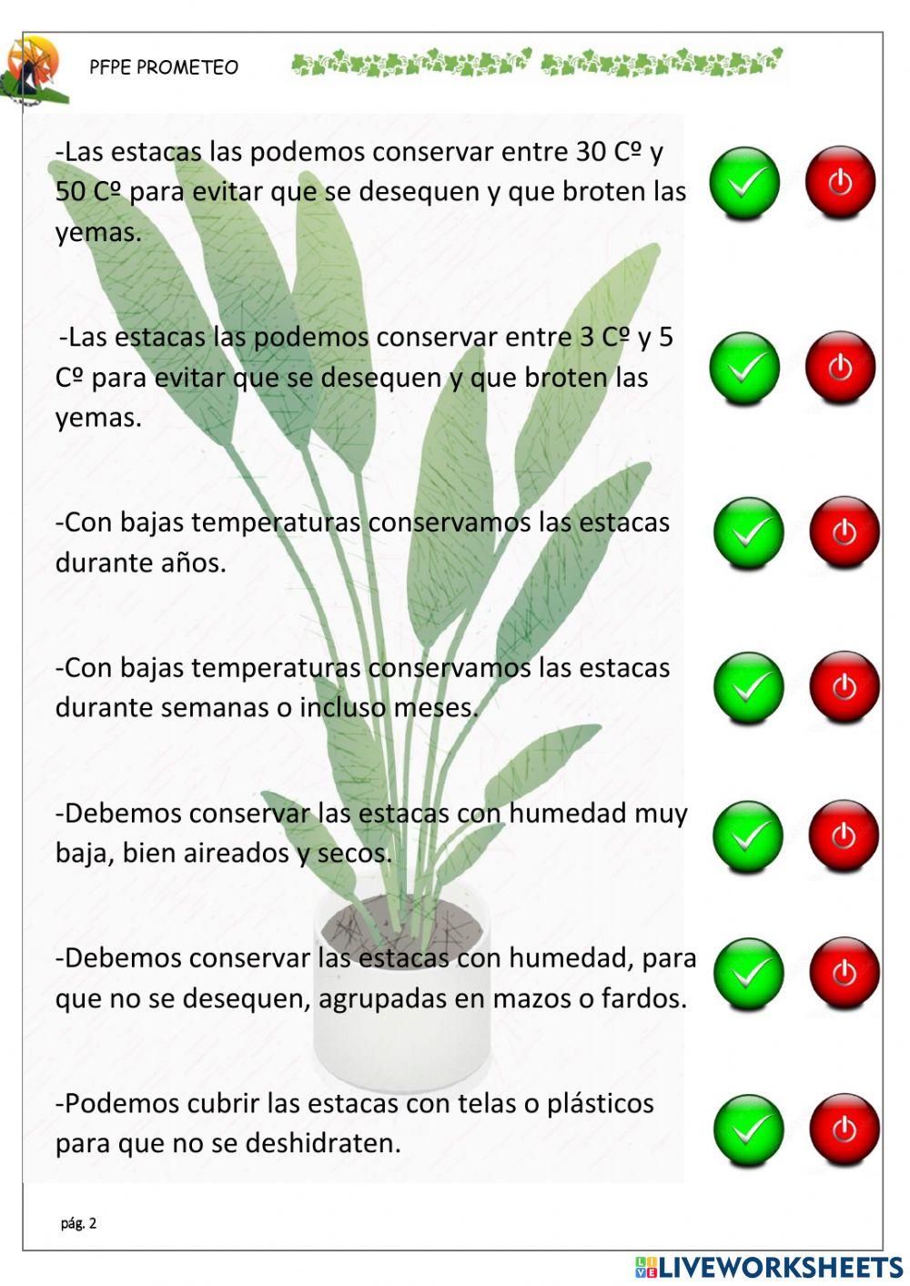 Conservación de… | Free Interactive Worksheets | 2285068