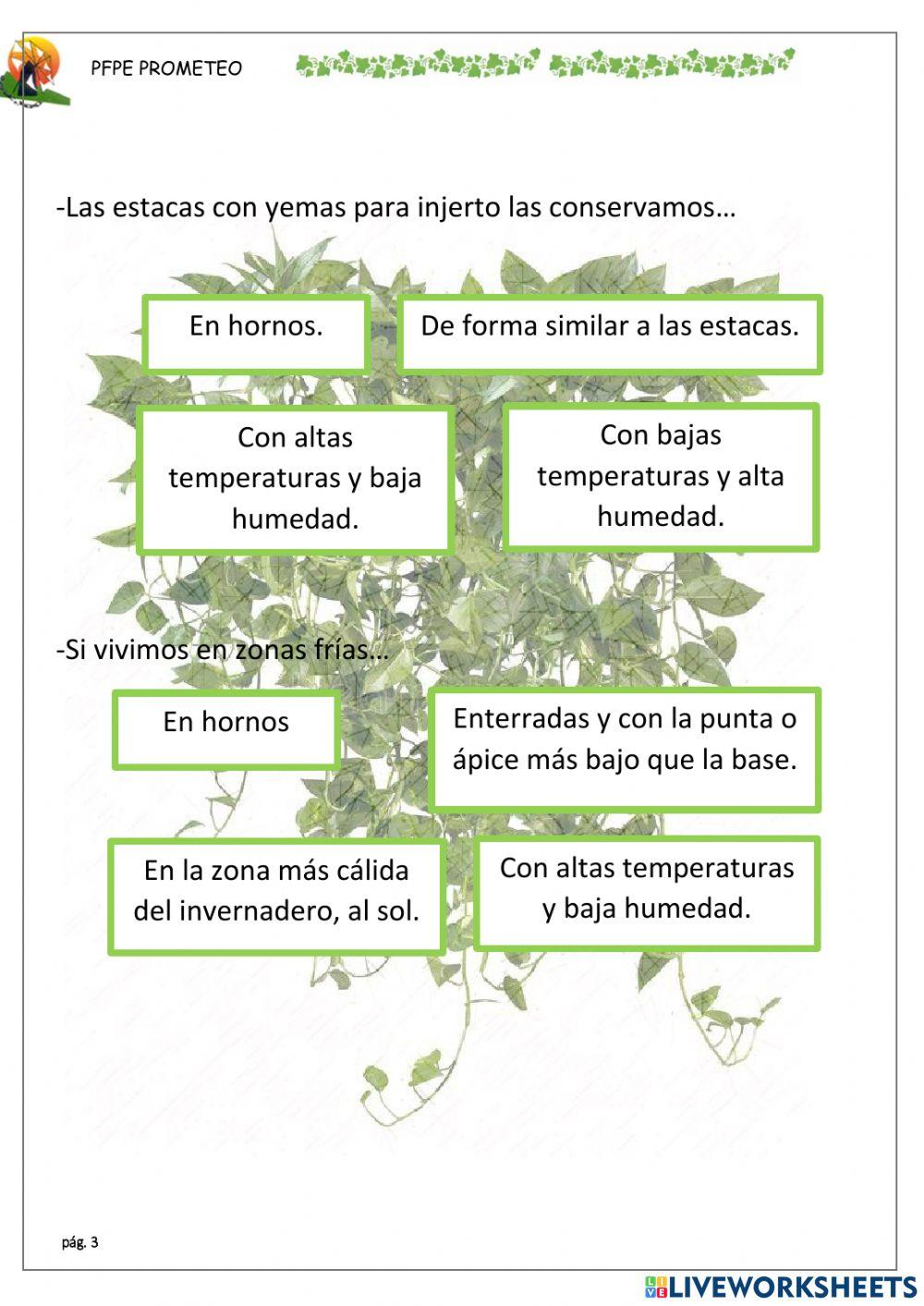 Conservación de… | Free Interactive Worksheets | 2285068