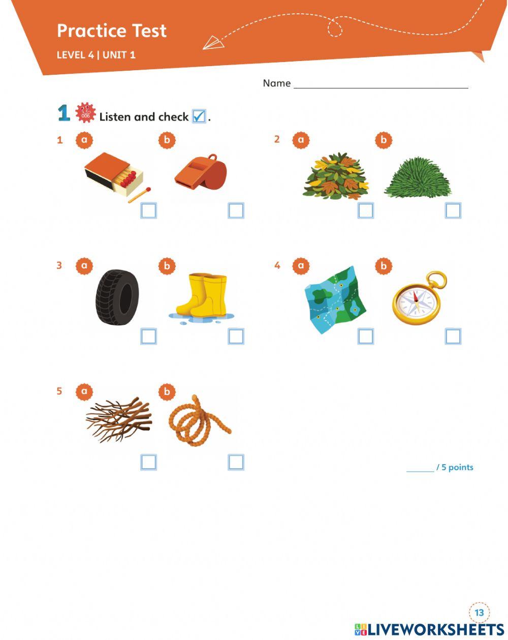 LEVEL 4 unit 1 test worksheet | Live Worksheets
