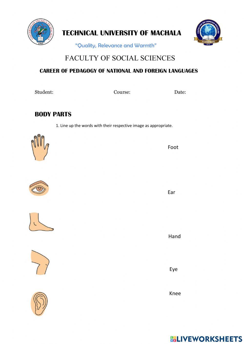 Body Parts online exercise for 1 A | Live Worksheets