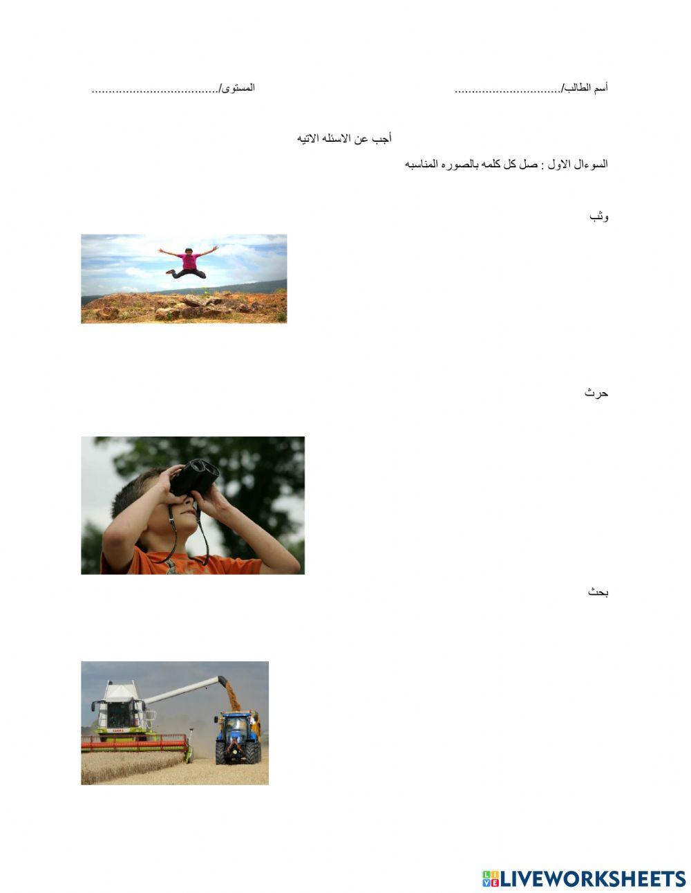 اختبار المستوى المبتدىء Online Exercise For Live Worksheets