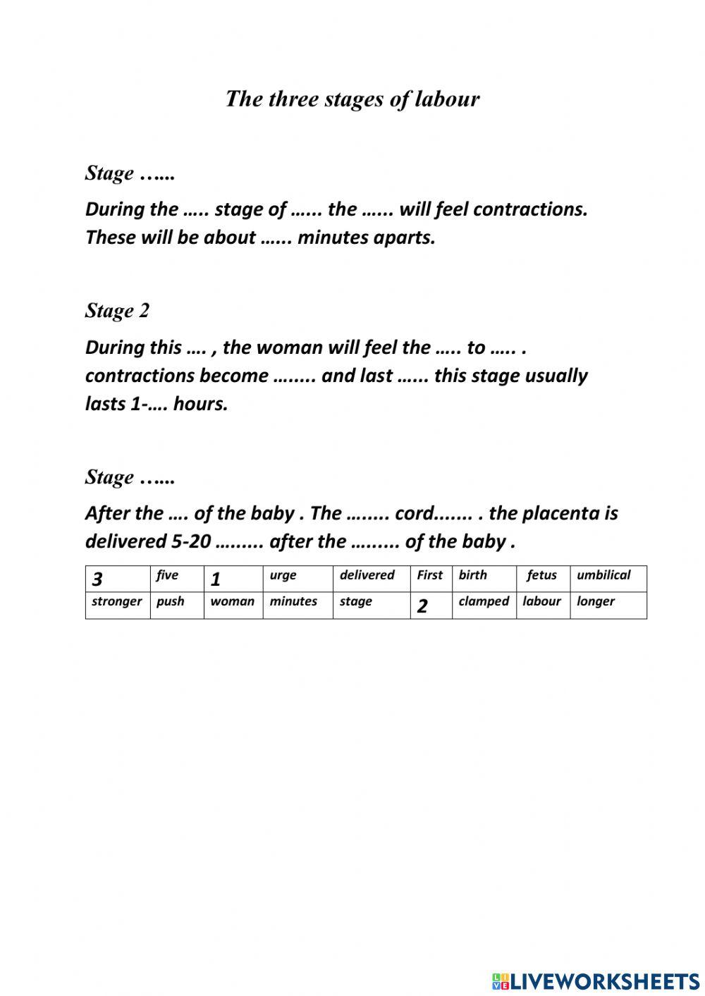 medical care during pregnancy online exercise for | Live Worksheets