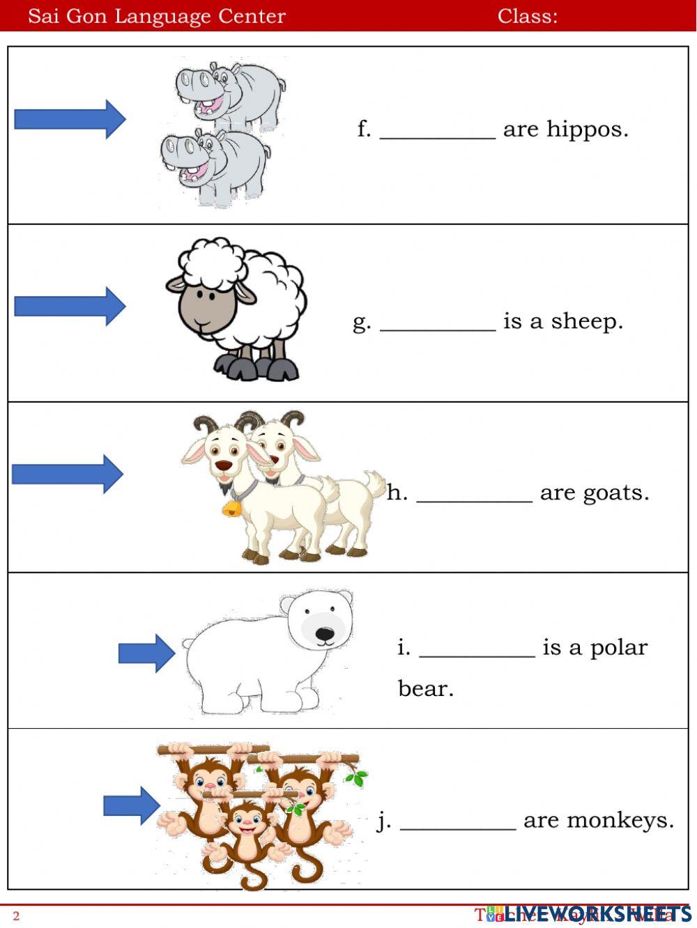 I like monkeys! interactive activity for Class: Lobster | Live Worksheets