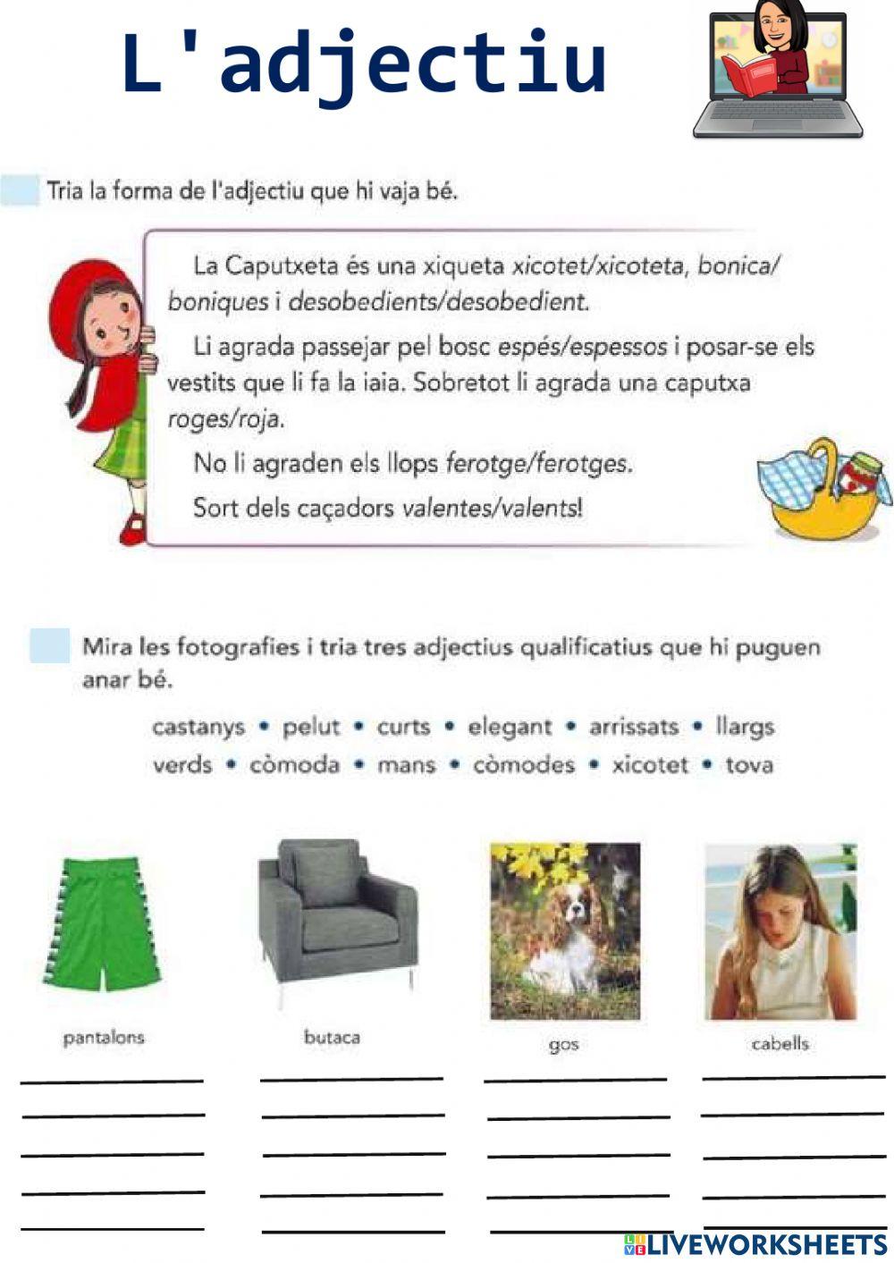 L'adjectiu | Free Interactive Worksheets | 2315128