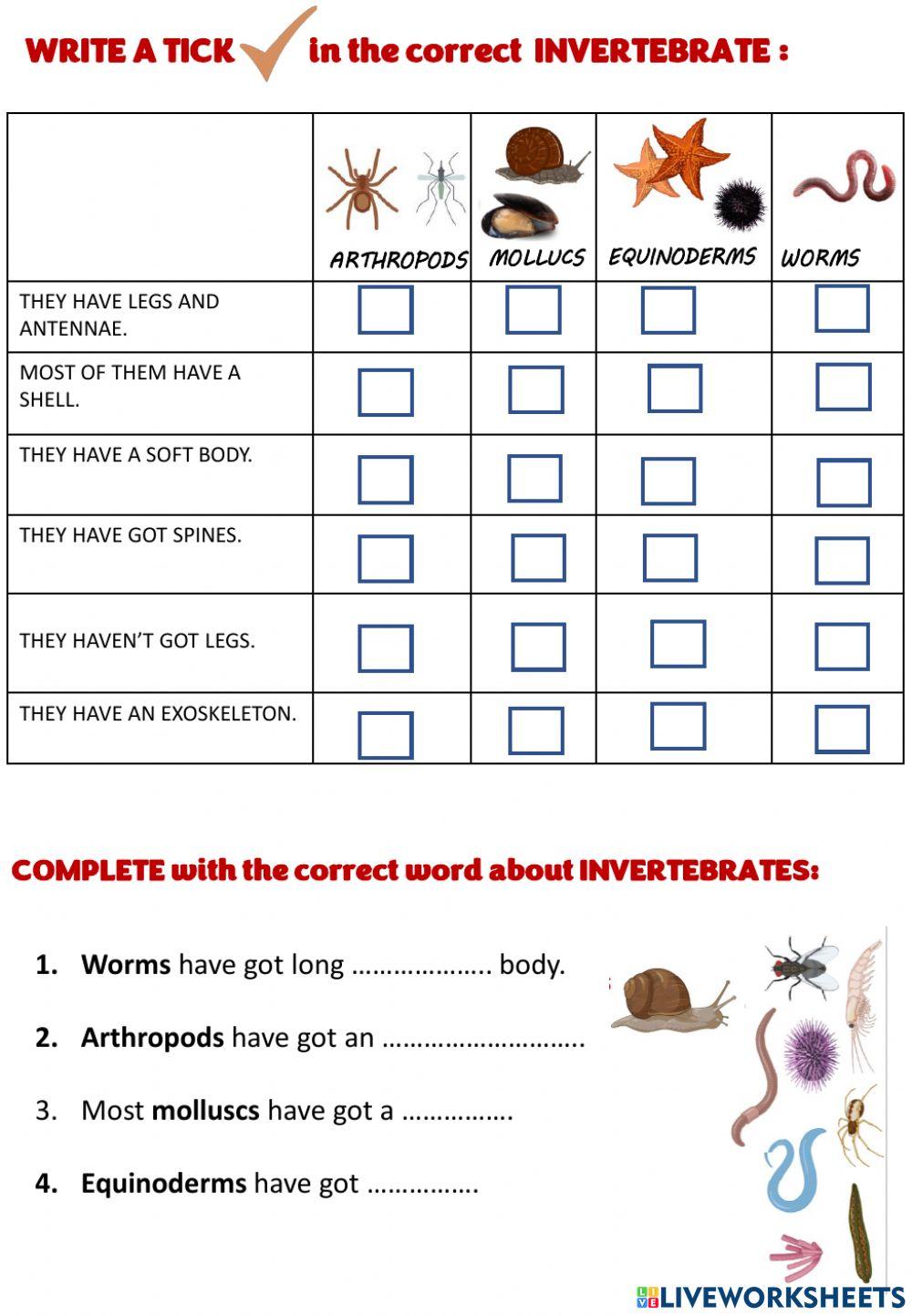 Invertebrates tick and choose worksheet | Live Worksheets