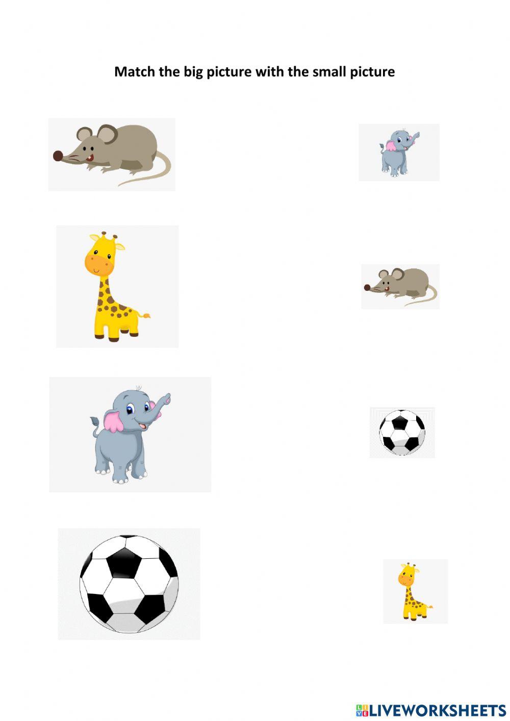 pdf big and small online exercise for | Live Worksheets