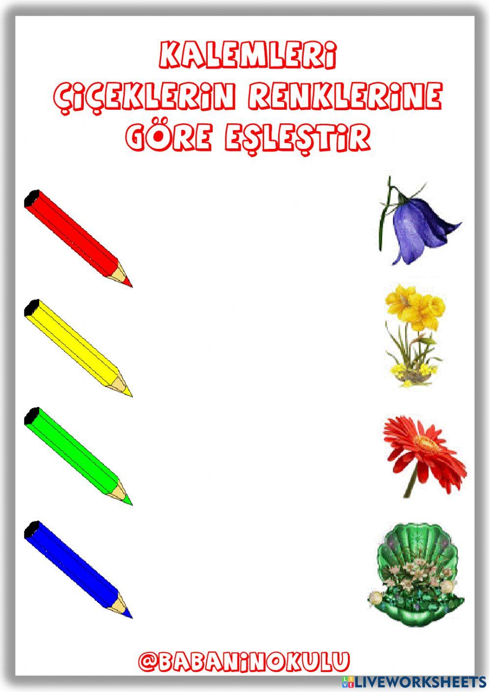 6 MART - 10 MART GENEL TEKRAR PAZAR online exercise for | Live Worksheets