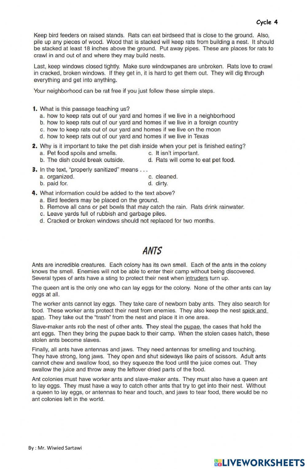 Reading Comp Cycle 4 2317153 | Wiwied Sartawi | Live