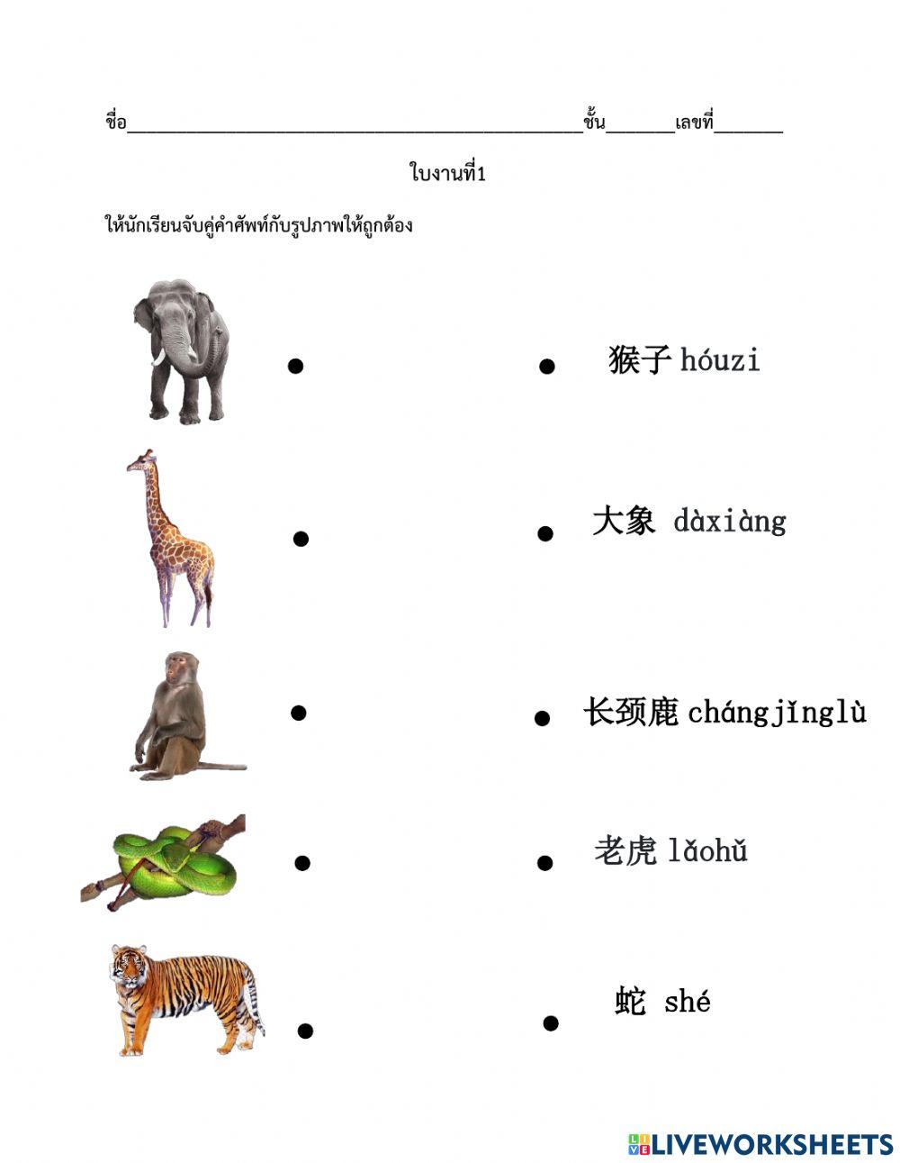 ใบงาน1:动物 online exercise for | Live Worksheets