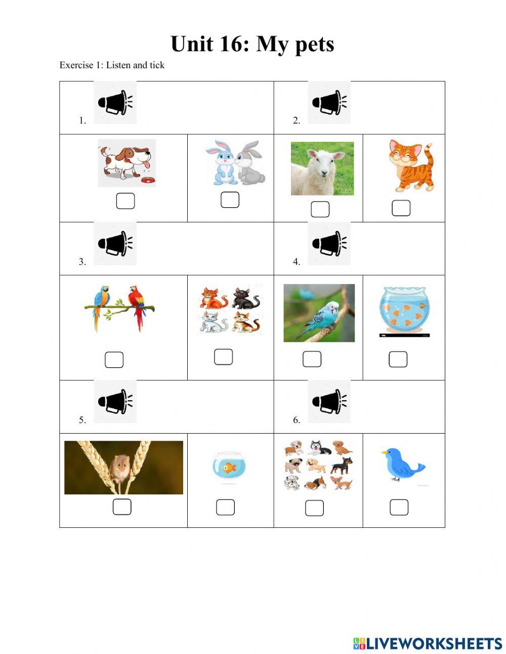 E3 U16 Pets worksheet | Live Worksheets