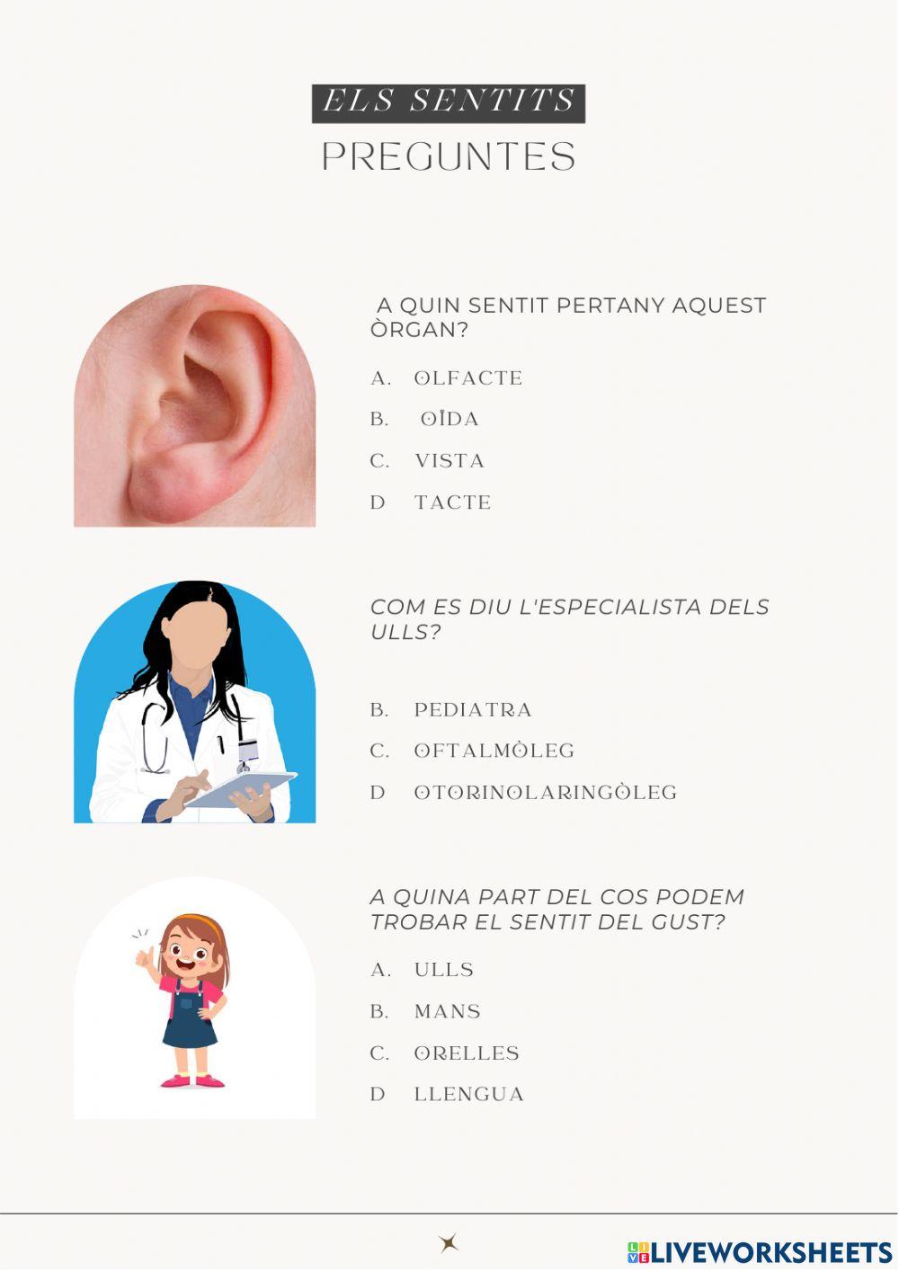 Els sentits 2318977 | raquel96 | Live Worksheets