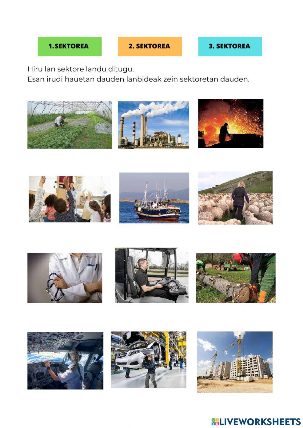 Lan sektoreak | Free Interactive Worksheets | 2319222