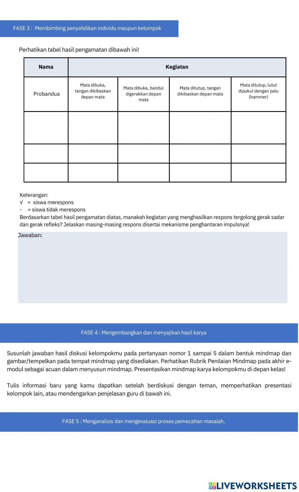 Nerve 2 worksheet | Live Worksheets