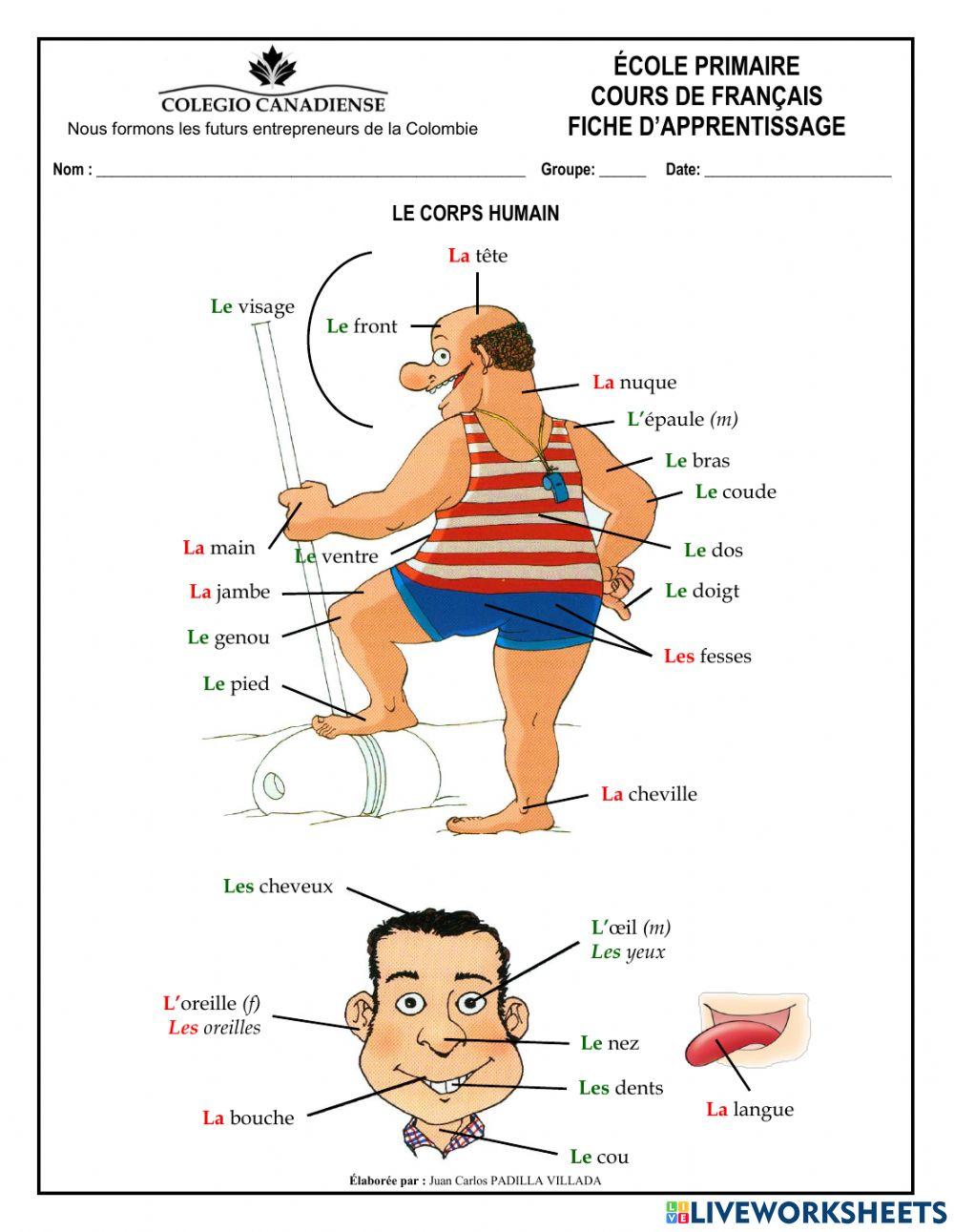 Corps activity | Live Worksheets