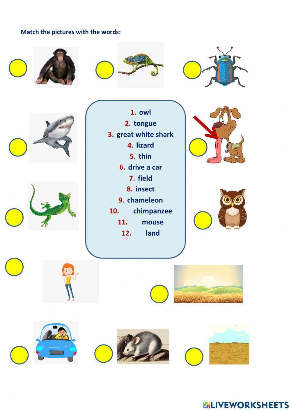 The world of nature 2320657 | Inna | Live Worksheets