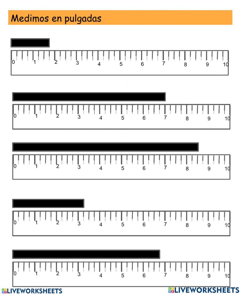 3671656 | Medición en pulgadas | LGREYES