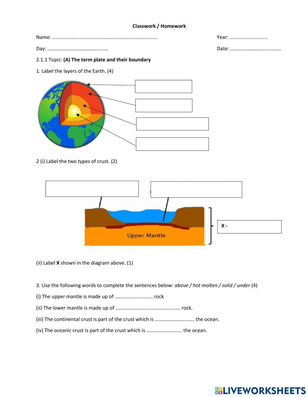 Testing liveworksheet online exercise for | Live Worksheets