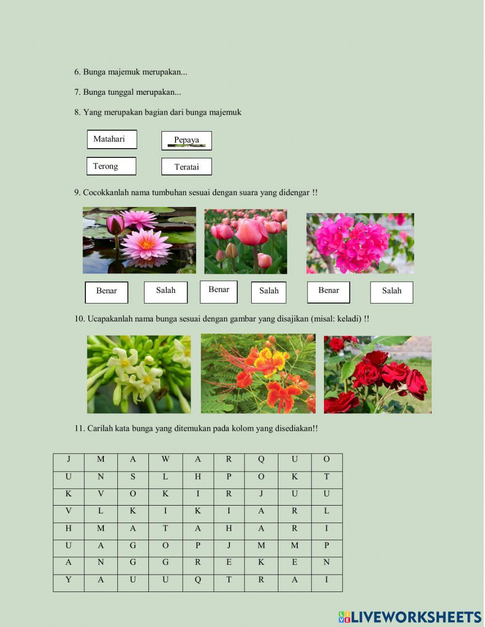 LKPD Daun dan Bunga activity | Live Worksheets