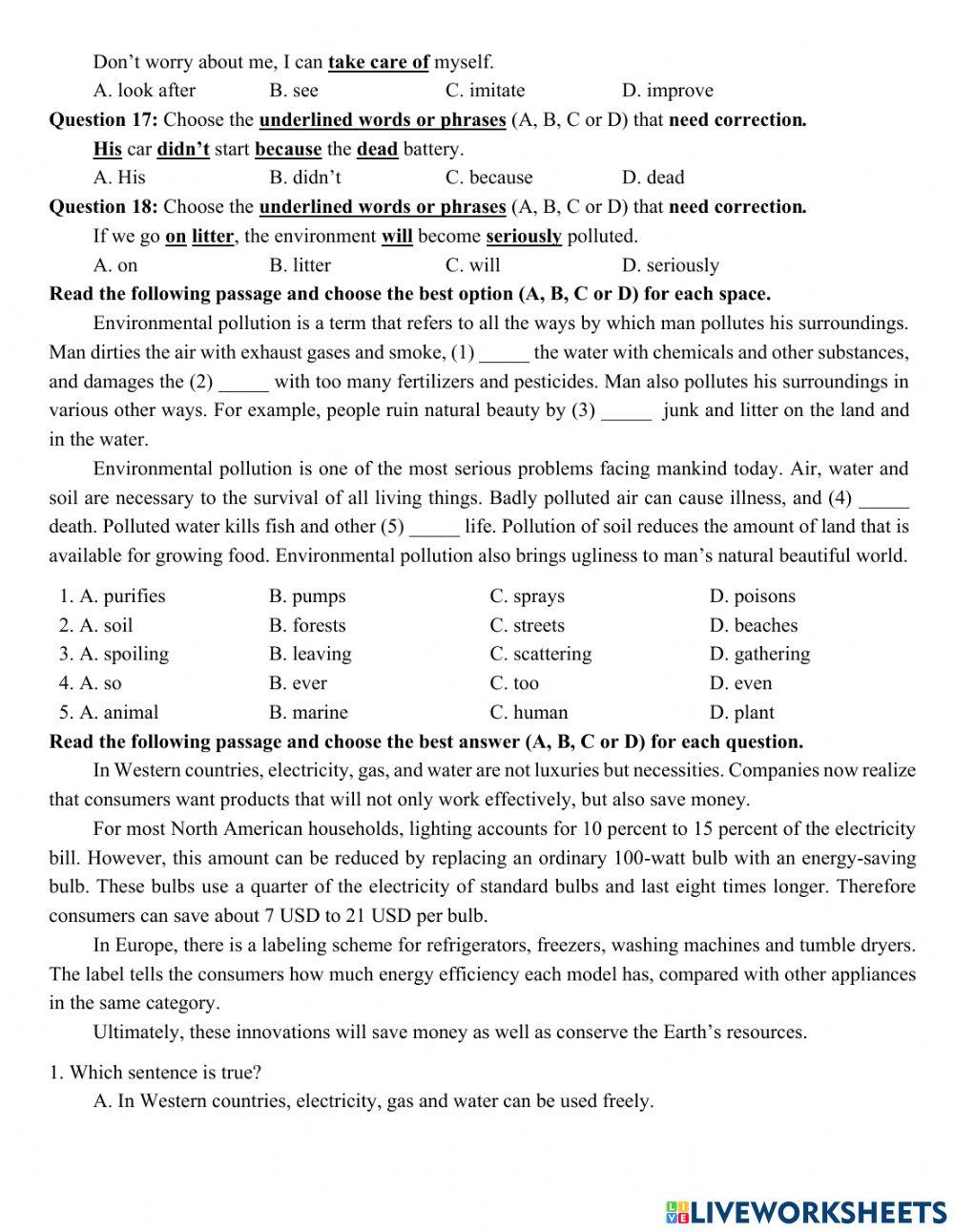 REVISON 1 - GRADE 9 online exercise for | Live Worksheets