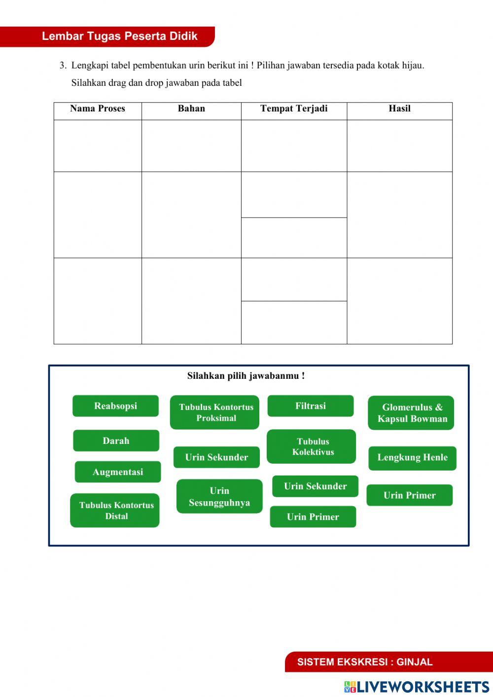 oktaviasaf20 | Ltpd 2322954 | LiveWorksheets