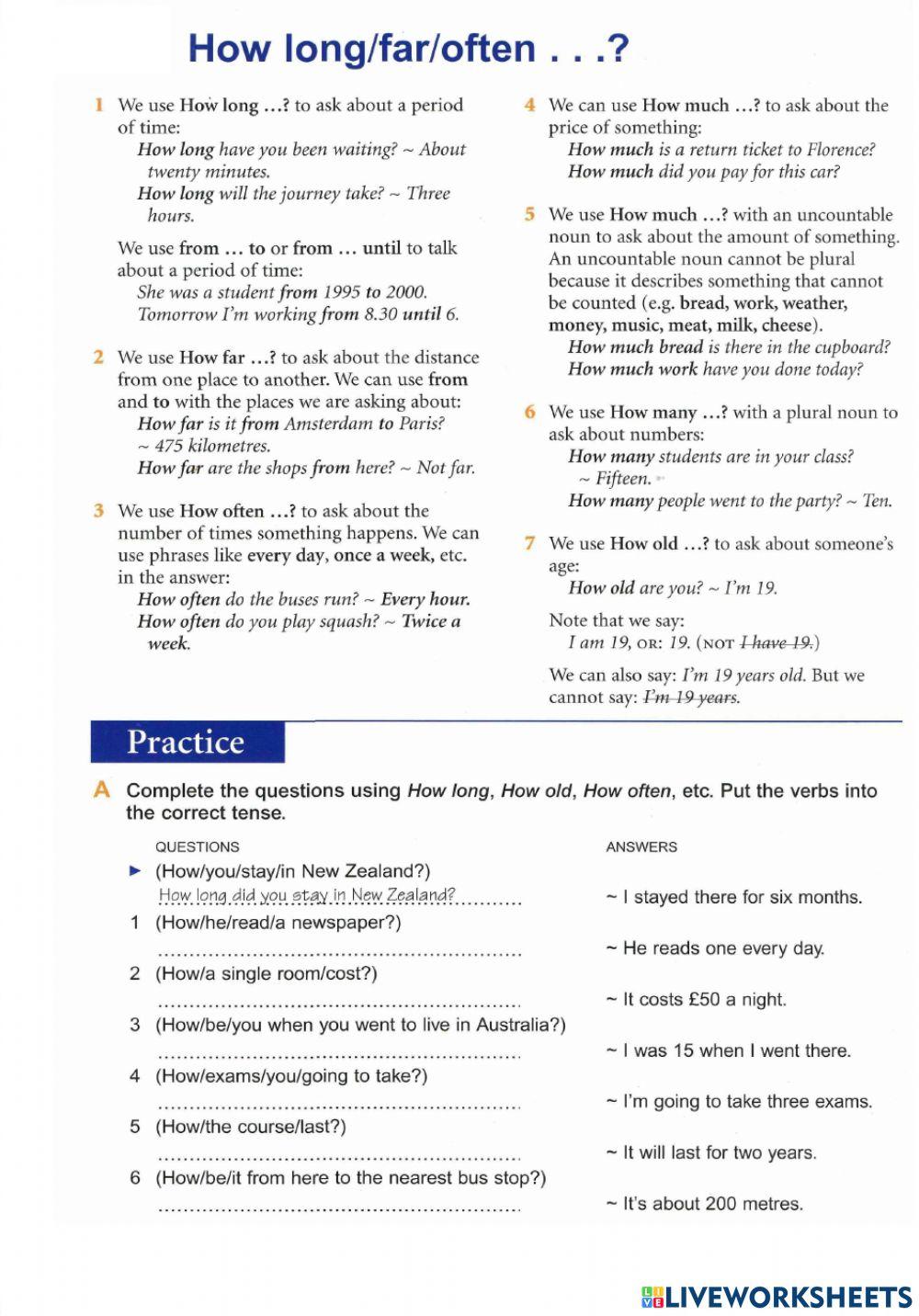 Basic Grammar-3… | Free Interactive Worksheets | 2323626