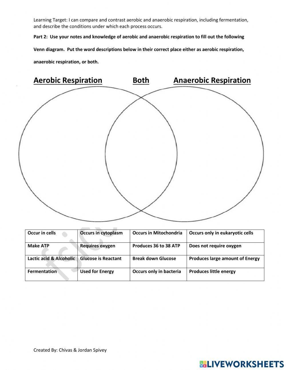 Aerobic Respiration Vs Anaerobic Respiration Aerobic Respiration Vs Anaerobic Respiration