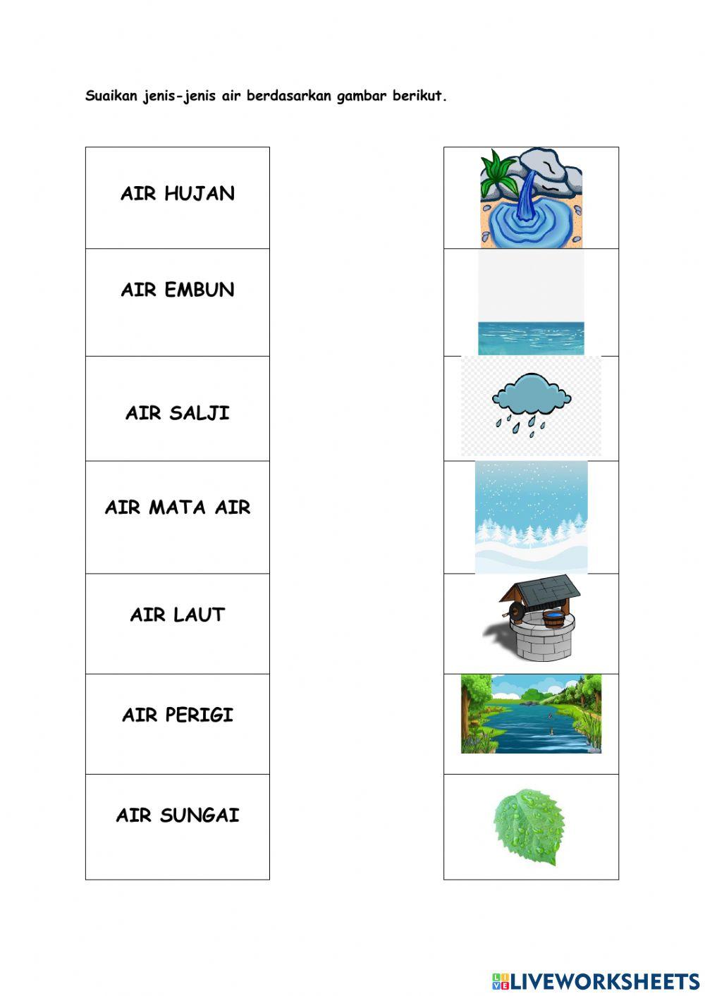 Jenis-Jenis Air Mutlak 2307157 | Farah Wahidah