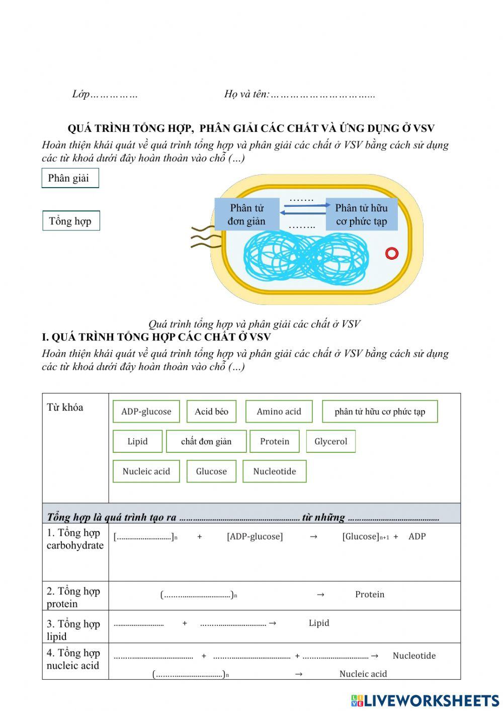 Qt tong hop va … | Free Interactive Worksheets | 2324274